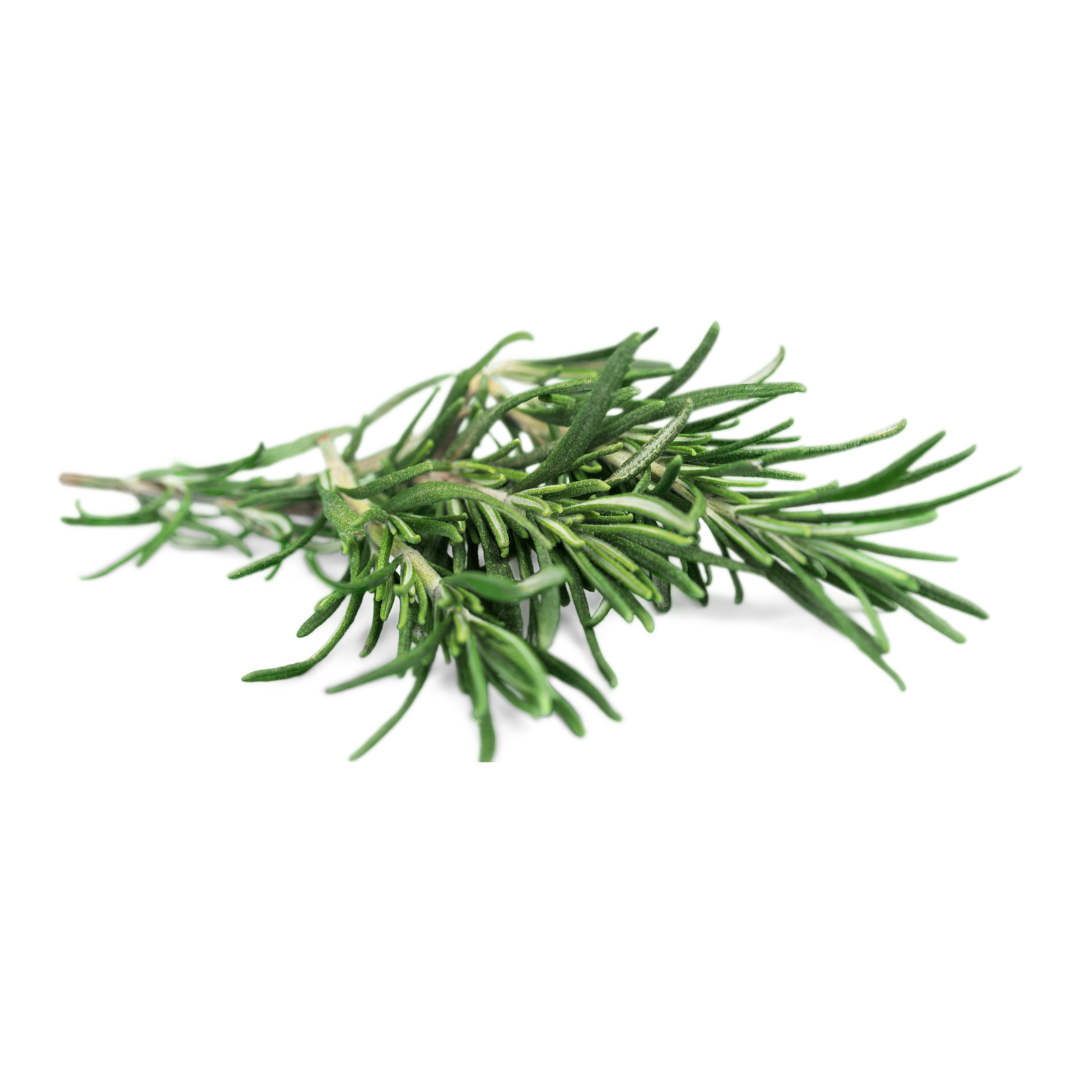 Rosemary – NICHECORNER