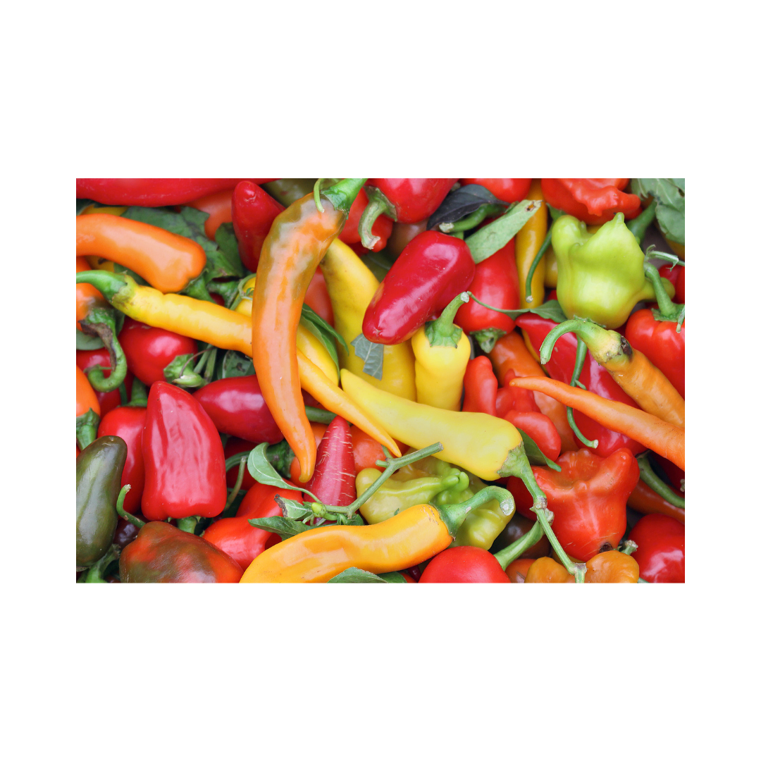 Spicy notes – NICHECORNER